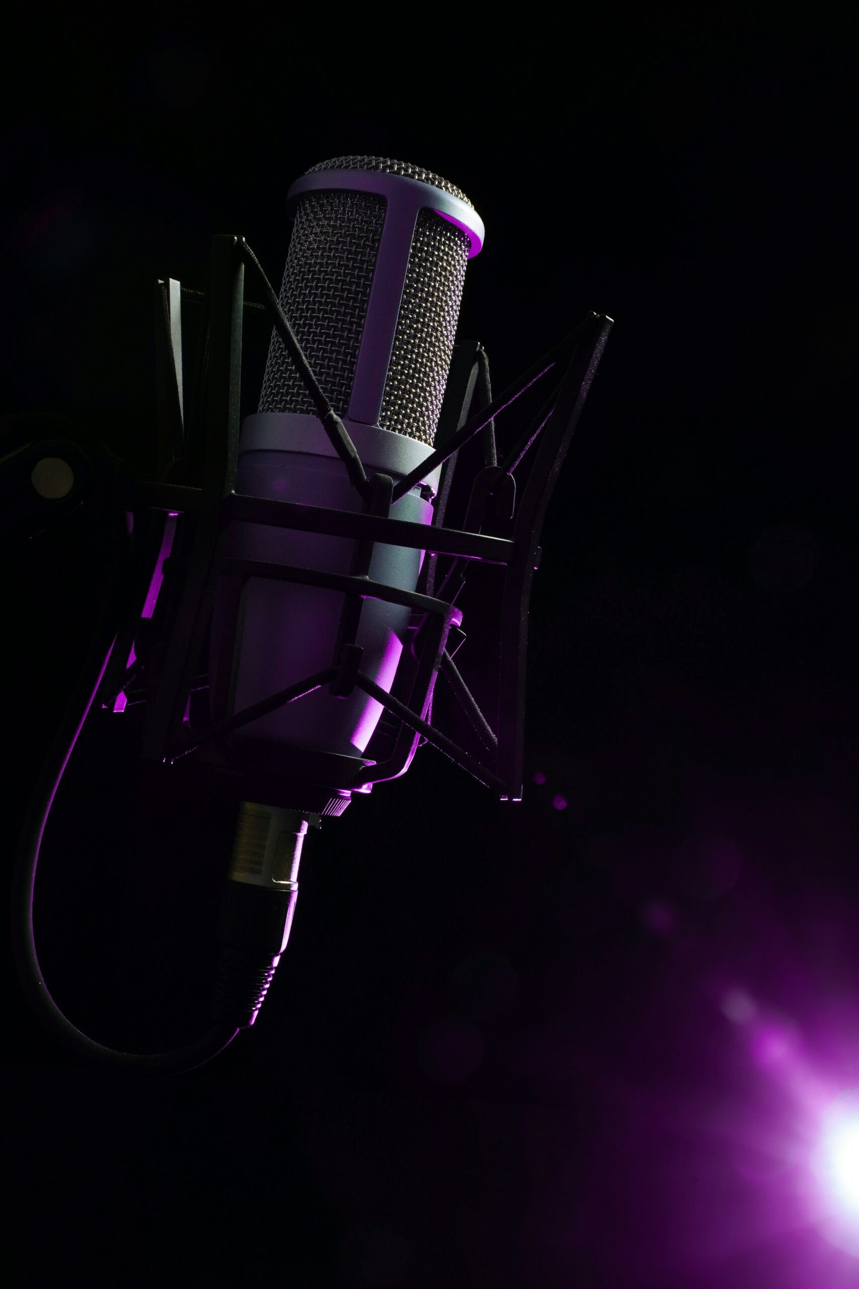 Beyond the Book: Sharing Your Voice During Book Promotion - Peter Lang
