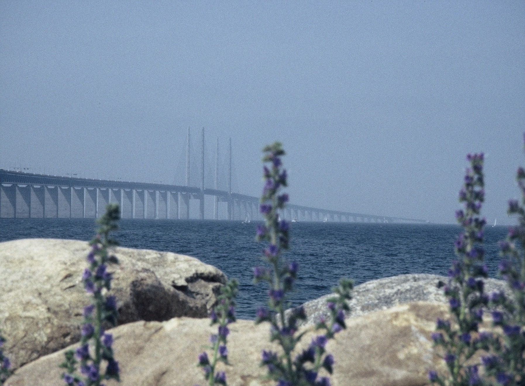 The Öresund Bridge: An important character in Sweden’s Covid-19 drama ...